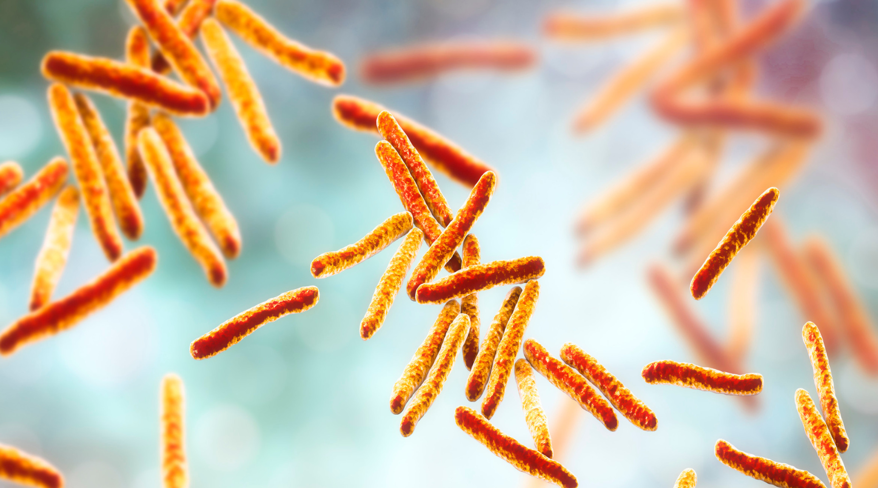 Bacterioplankton: Why They Matter to Coral Reef Health – Pod Your Reef