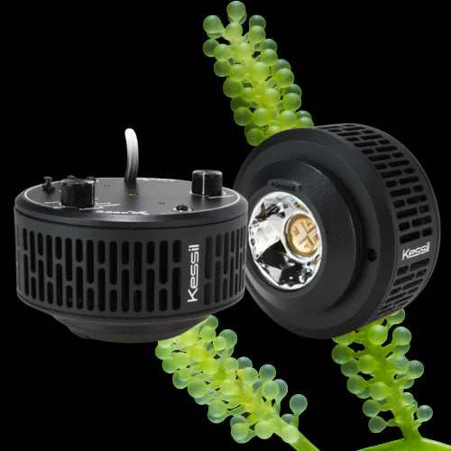 Refugium Lighting – Pod Your Reef