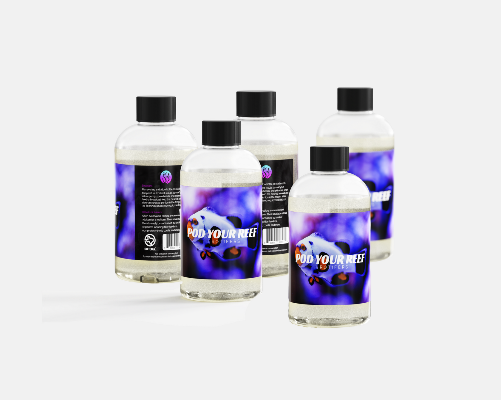 Saltwater Snails for Reef Tanks: Best Cleanup Crew for Algae, Sand & D ...