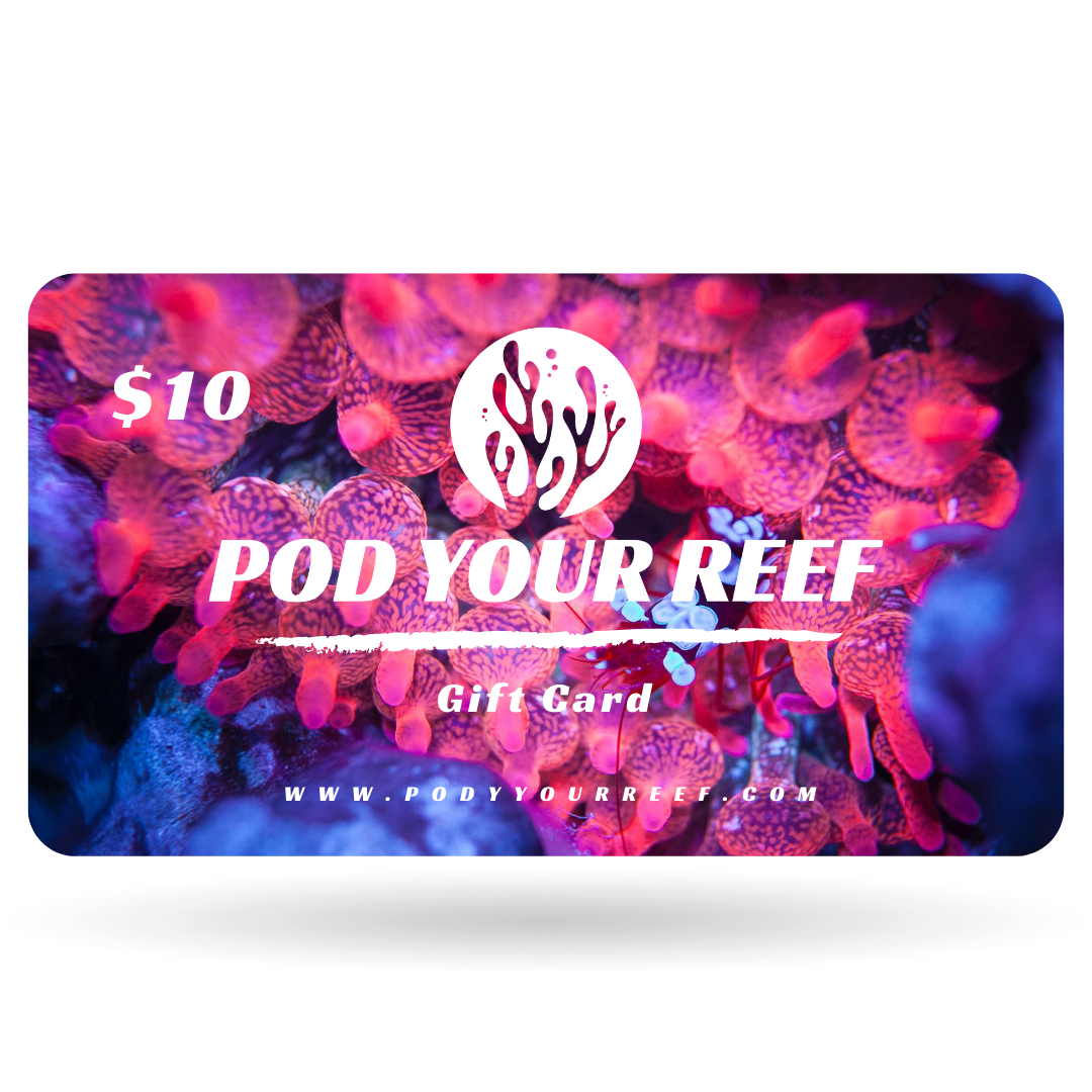 GIFT CARD | THE BEST GIFT FOR AQUARIST – Pod Your Reef