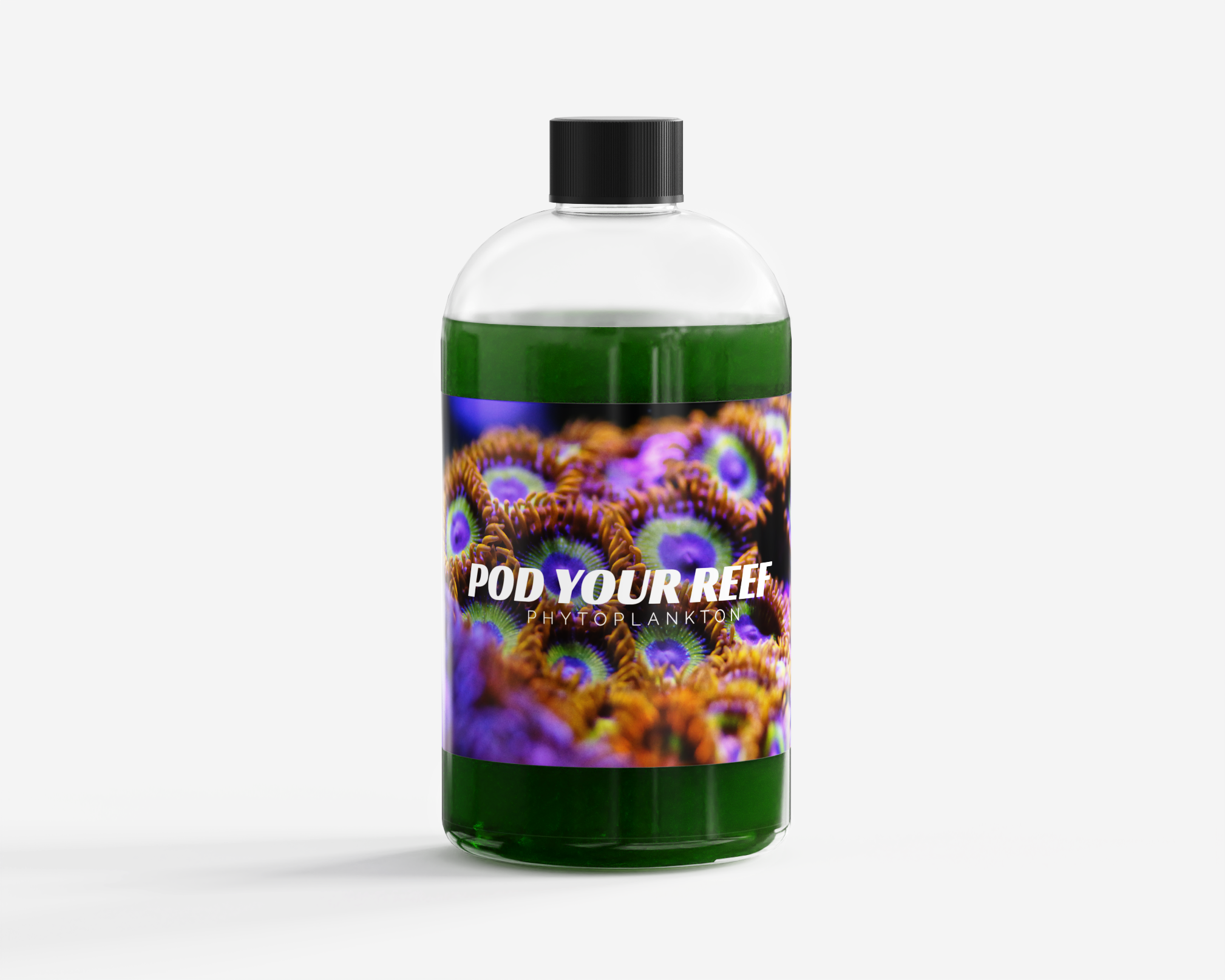 Copepods, Phytoplankton, Rotifers, and More | Pod Your Reef