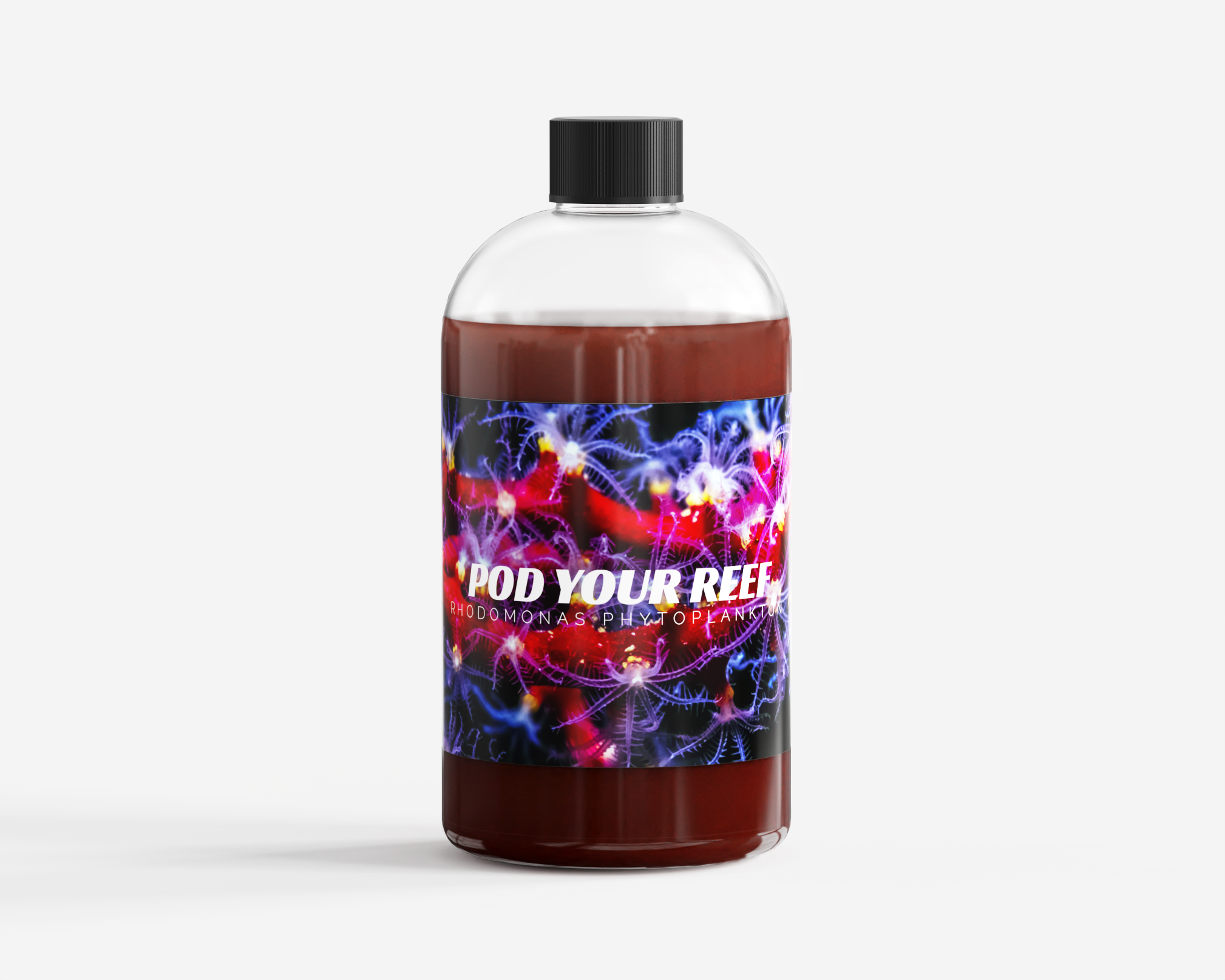 Rhodomonas Phytoplankton – Pod Your Reef