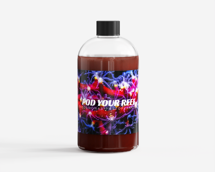 Reef Clarify – Pod Your Reef