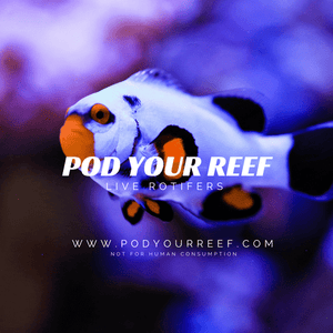 Copepods, Phytoplankton, Rotifers, and More | Pod Your Reef